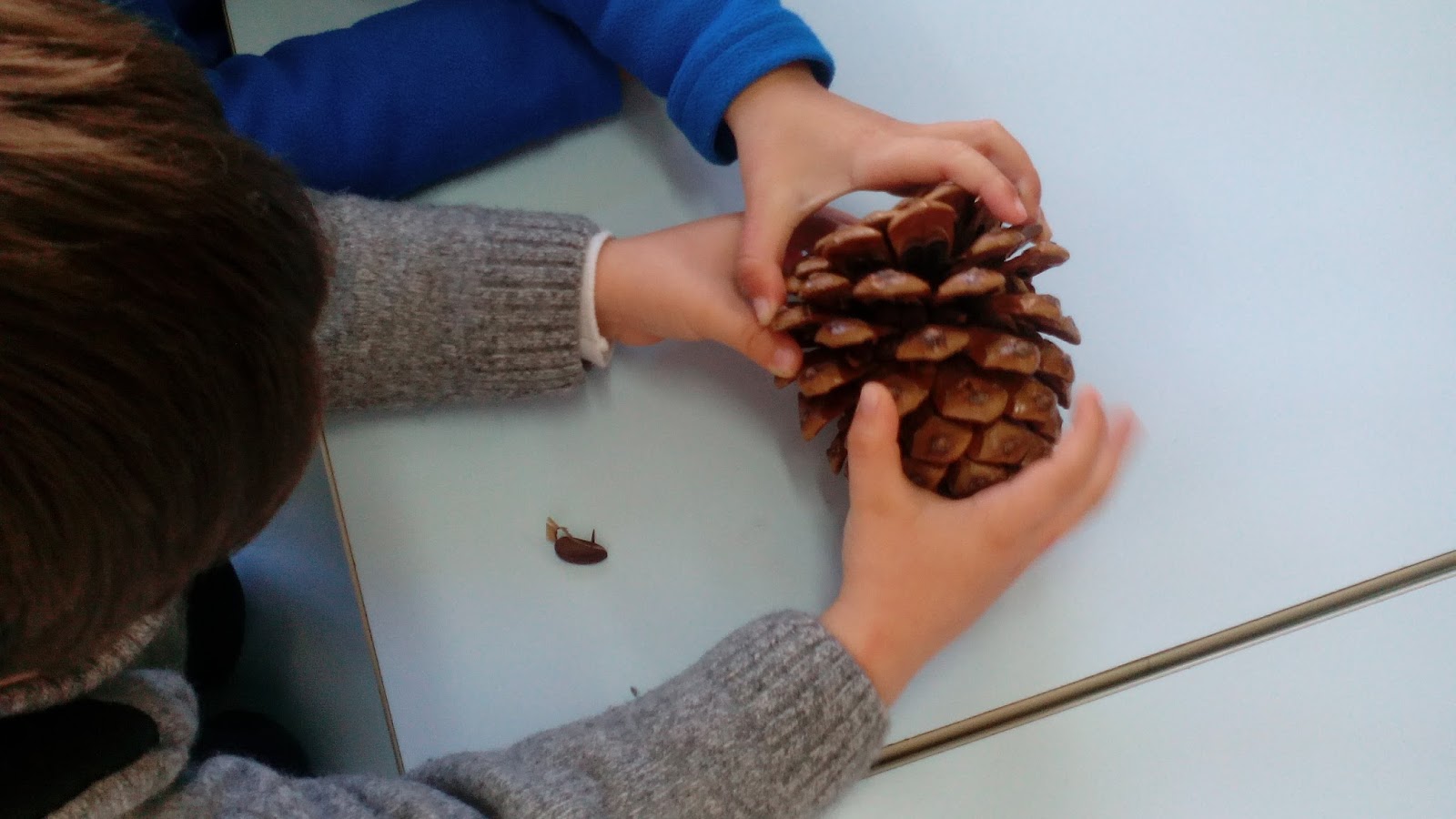 Pinhas que Abrem e Fecham! | Triquiteiros de S.João