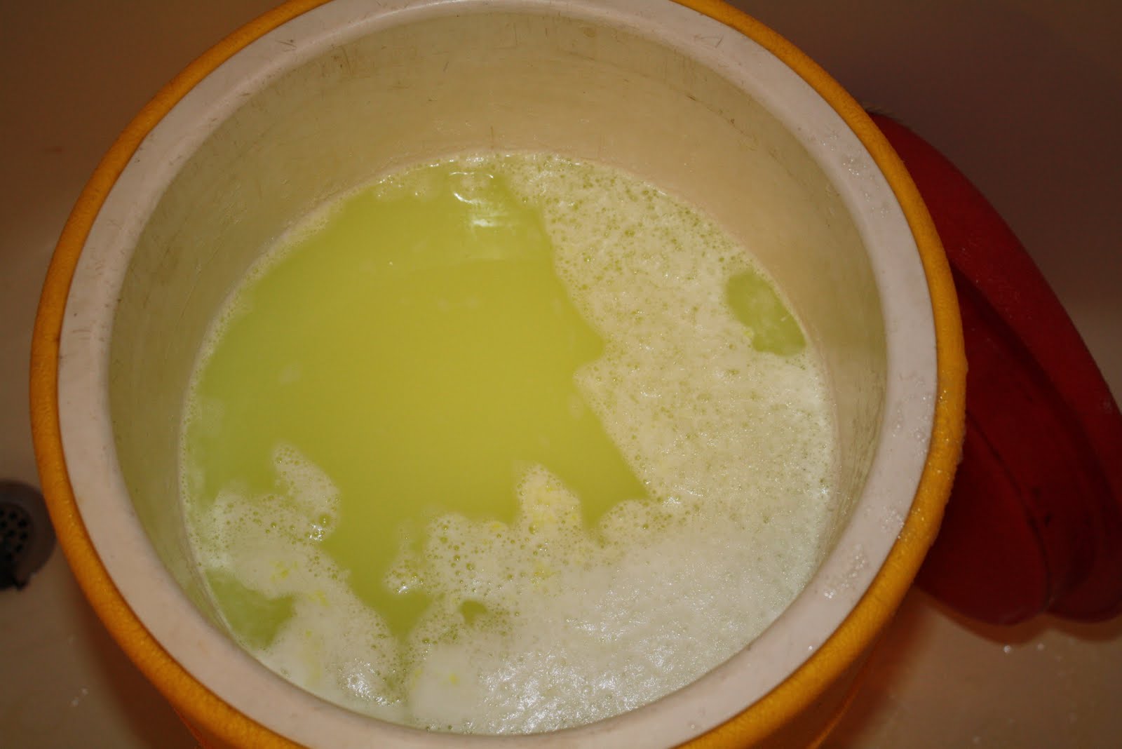 The Joy of Cooking: Home Made Soap