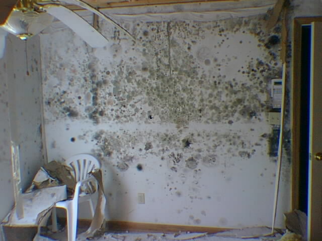 Chinese Drywall Advisors Chinese Drywall Advisors