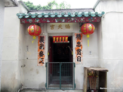 Cleistocalyx operculatus (Roxb.) Merr. et Perry 水翁