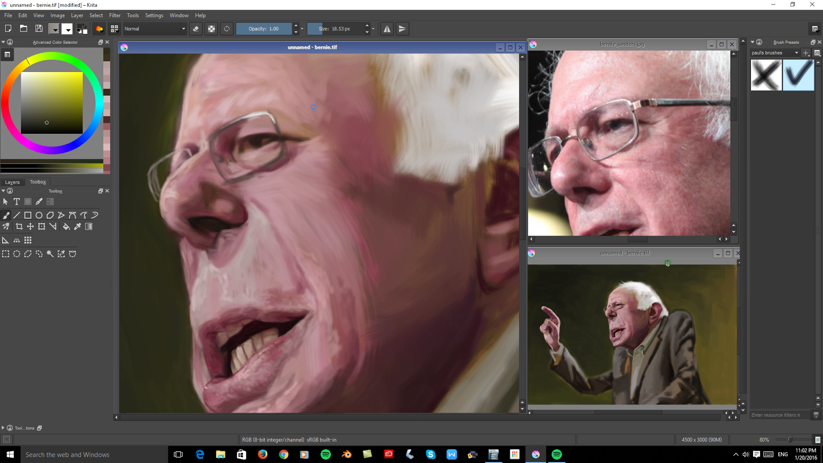Bernie Sanders, Course and Krita