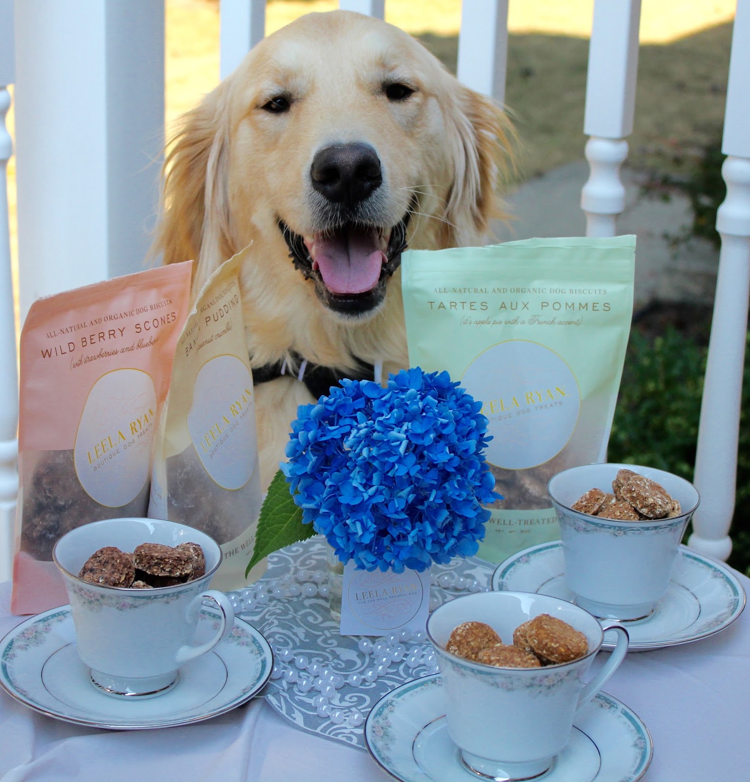 Leela Ryan Boutique Healthy Dog Treats Review And Giveaway leela-ryan-boutique-healthy-dog-treats-review-and-giveaway