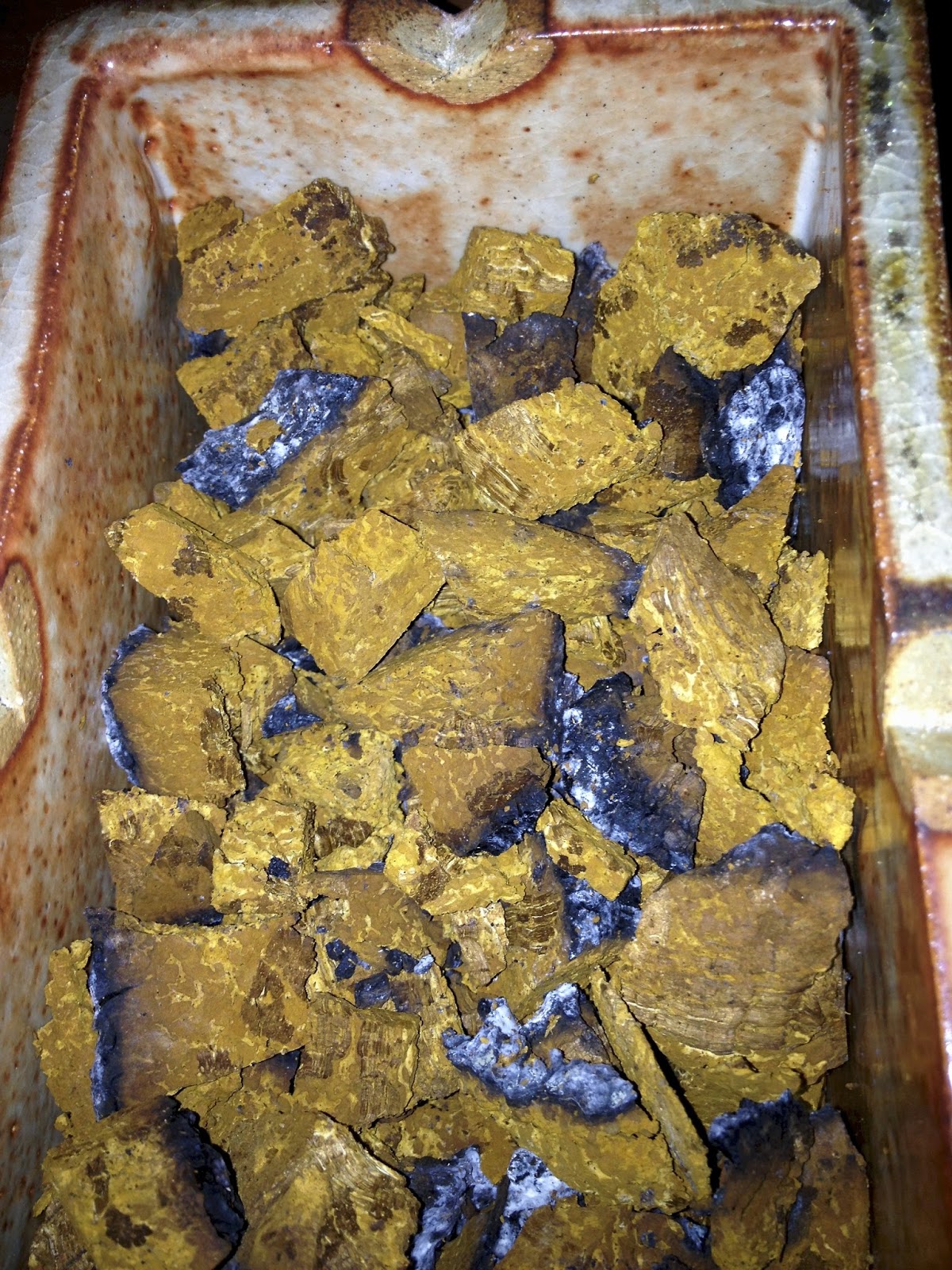 Offers to Raven: Guide to Chaga Harvesting and Preparation