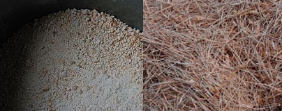 Mengenal Ampas Sagu Sebagai Pakan Ternak Alternatif | 1001 Catatan ...