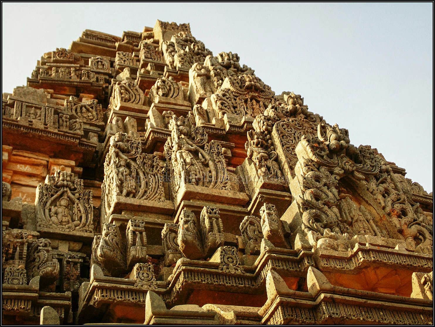 The Voice of Greenery - Trekking and Travelling in Western Ghats ...