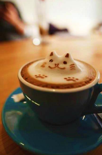 Dornröschen Filzunikate-Susanne Karg: Katzen-Kaffee--lecker!!!