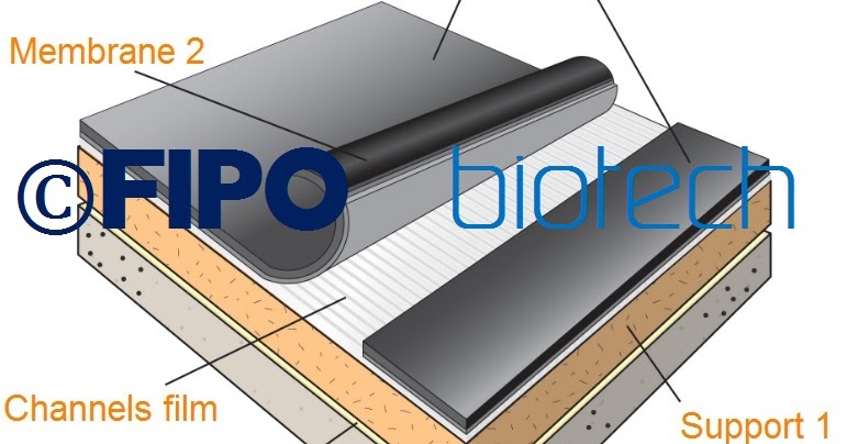 FIPO BIOTECH soluciones innovadoras