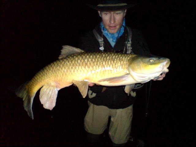 Flyfishers Unlimited: BIG Yellows