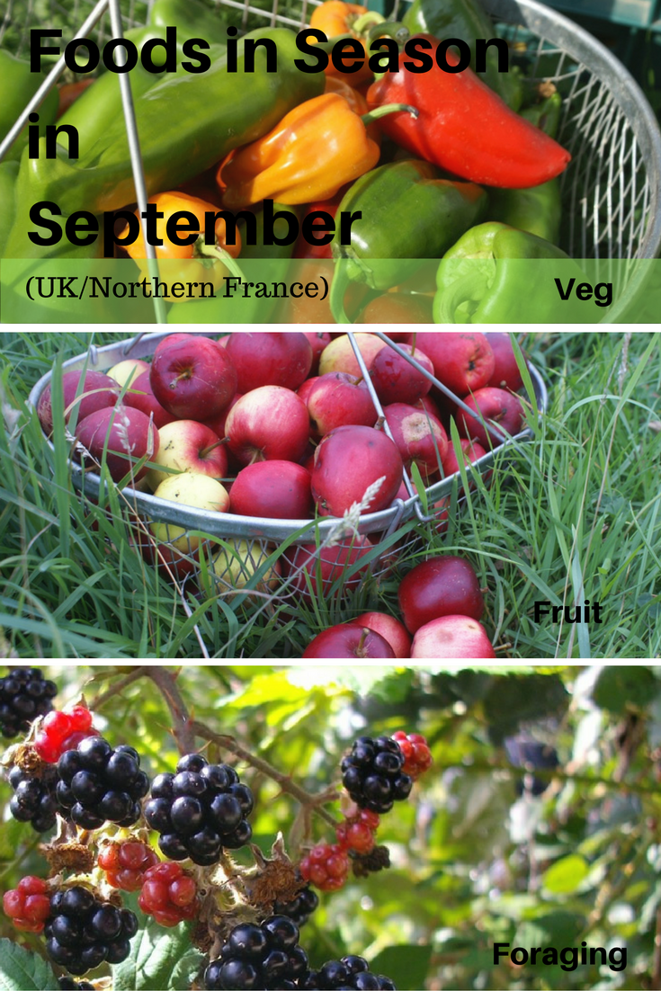 A Green and Rosie Life: Veg, Fruit and Foraged Foods in Season in September