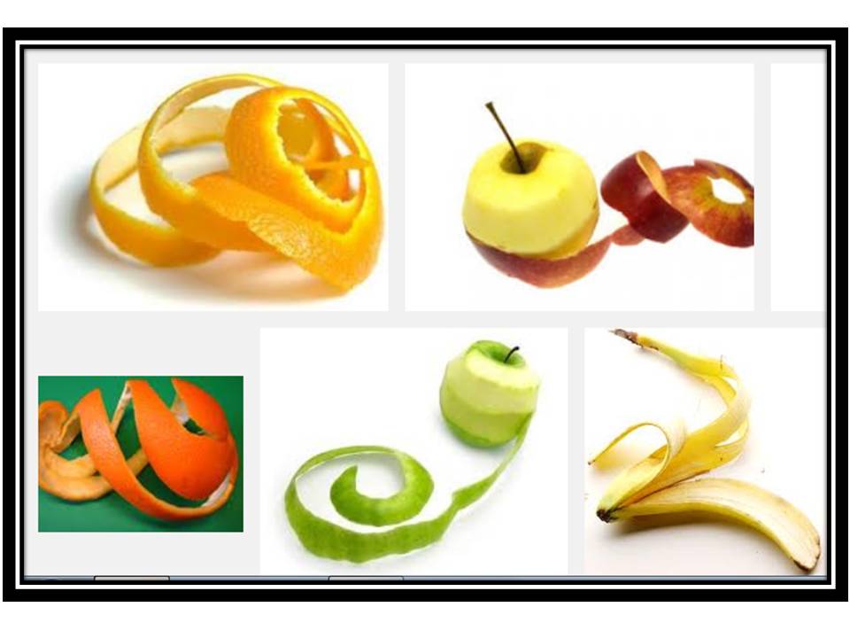 From Where I am.........Kuala Lumpur: Saving fruit peels to turn them ...