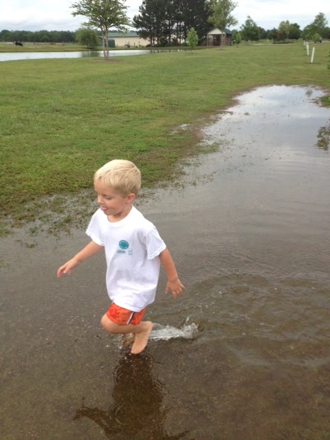 Gran Jan's JOY: 1,000 GIFTS, #675 to #689