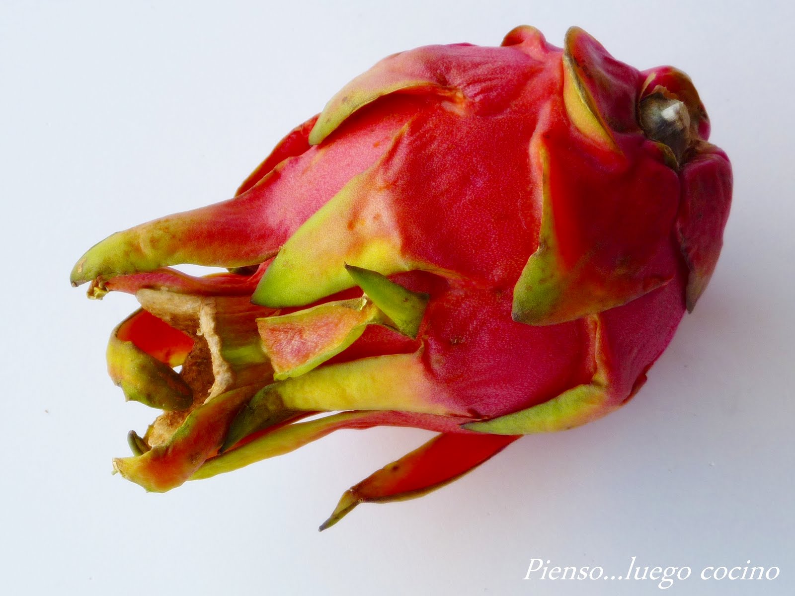 Pienso...luego cocino: Pitahaya