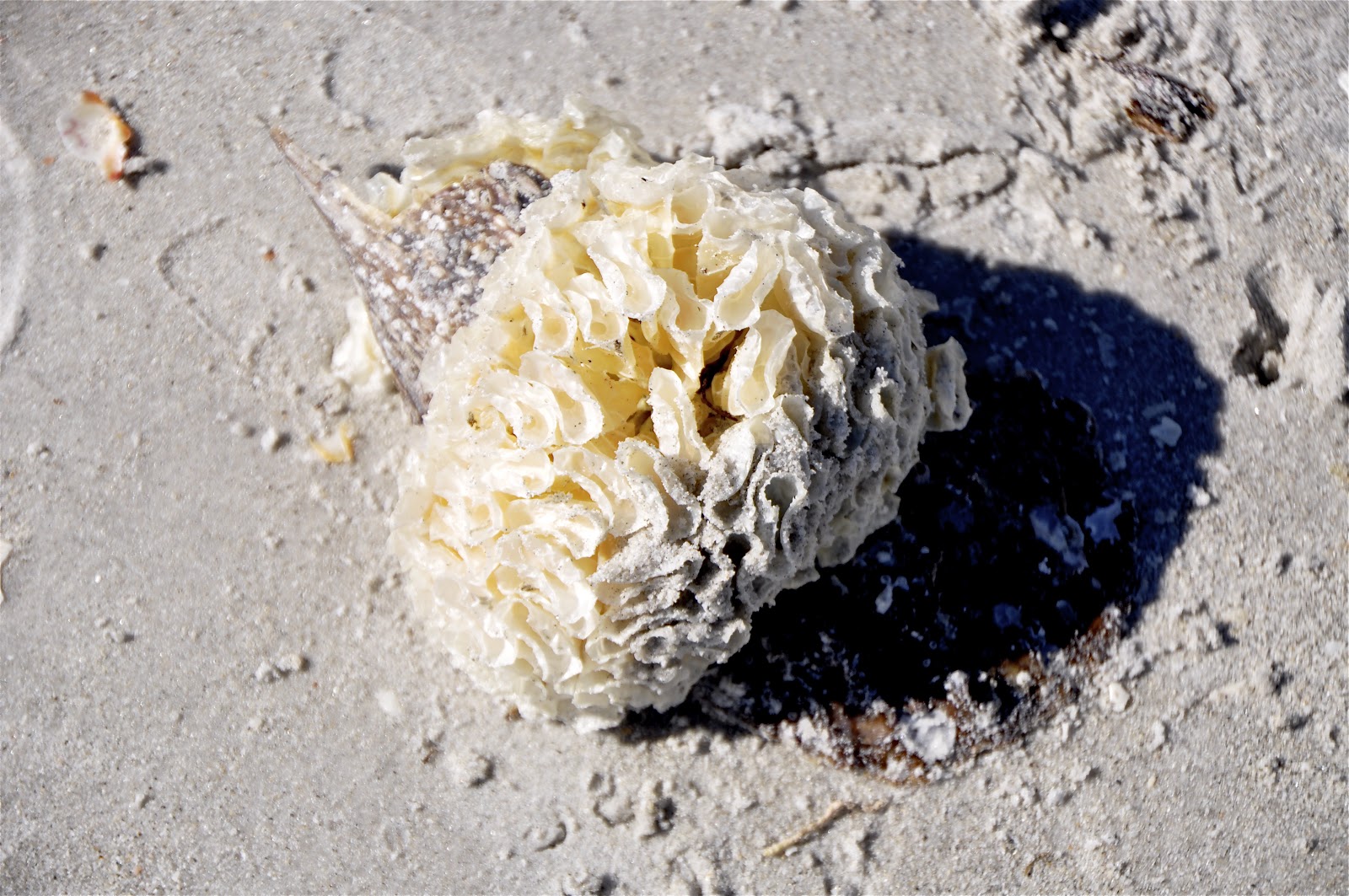 My Retiring Life: "Go on, high ship, since now, upon the shore, The ...