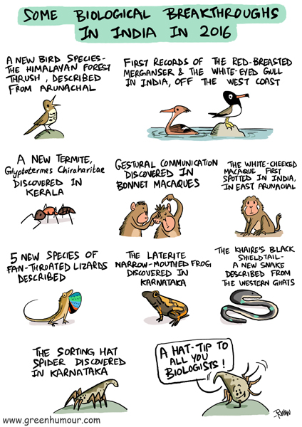 Green Humour: January 2017