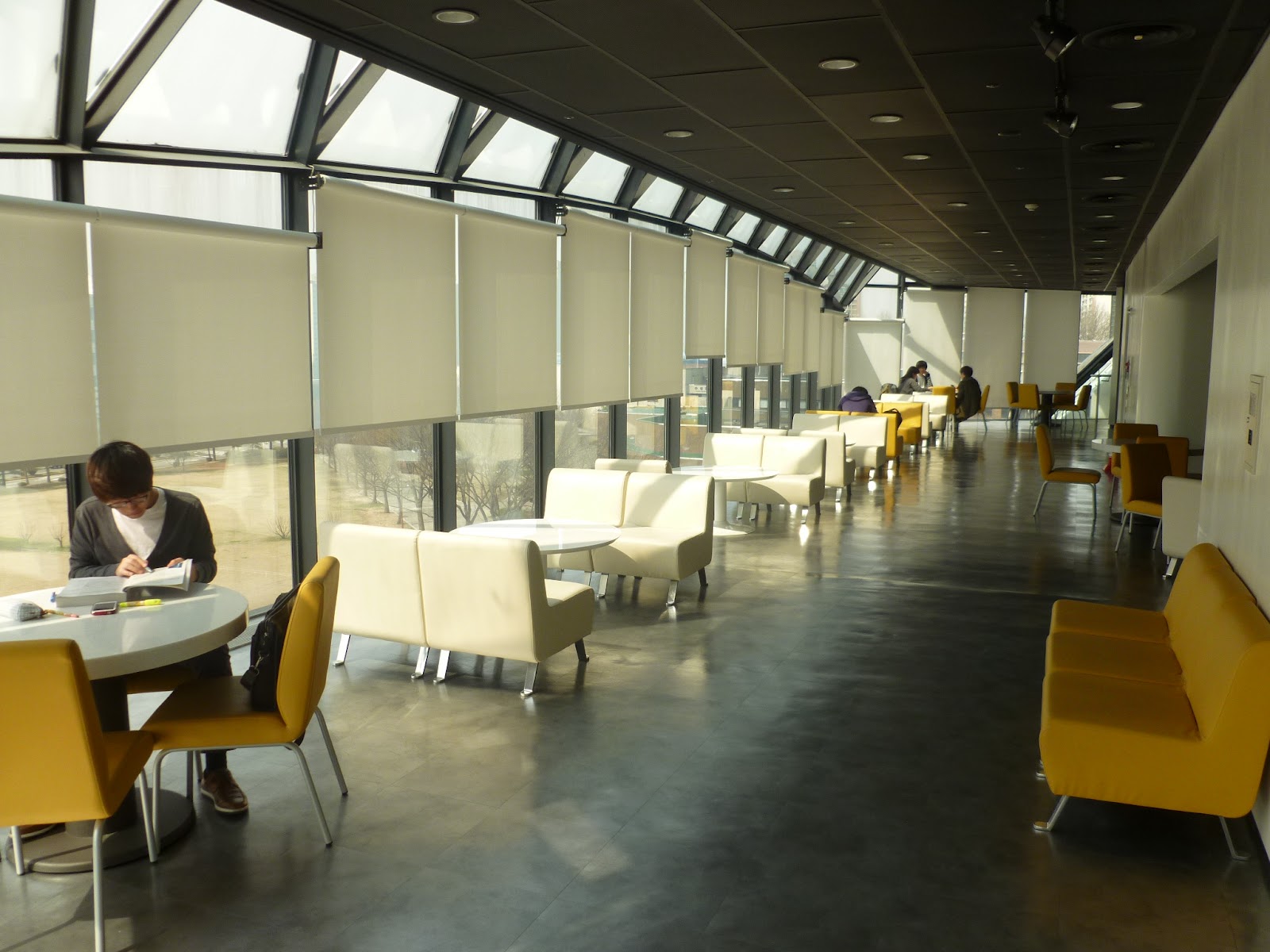 Exploring Learning Spaces and Libraries in Asia: Sungkyunkwan ...