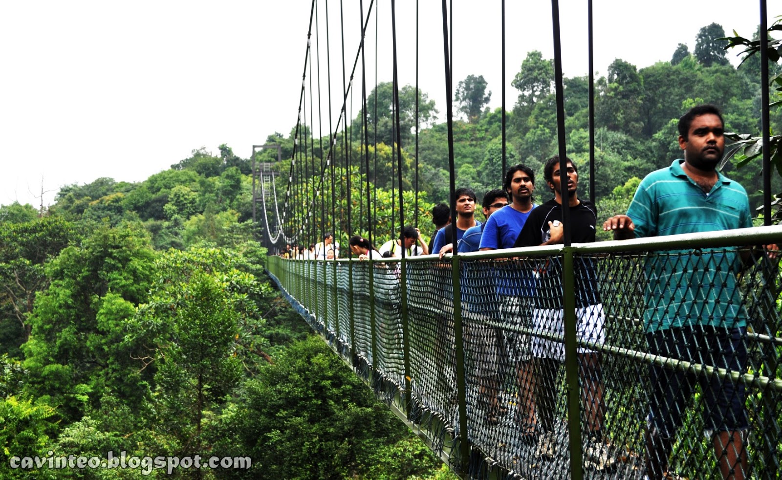 Entree Kibbles: HSBC Treetop Walk - A Refreshing Morning Trek ...