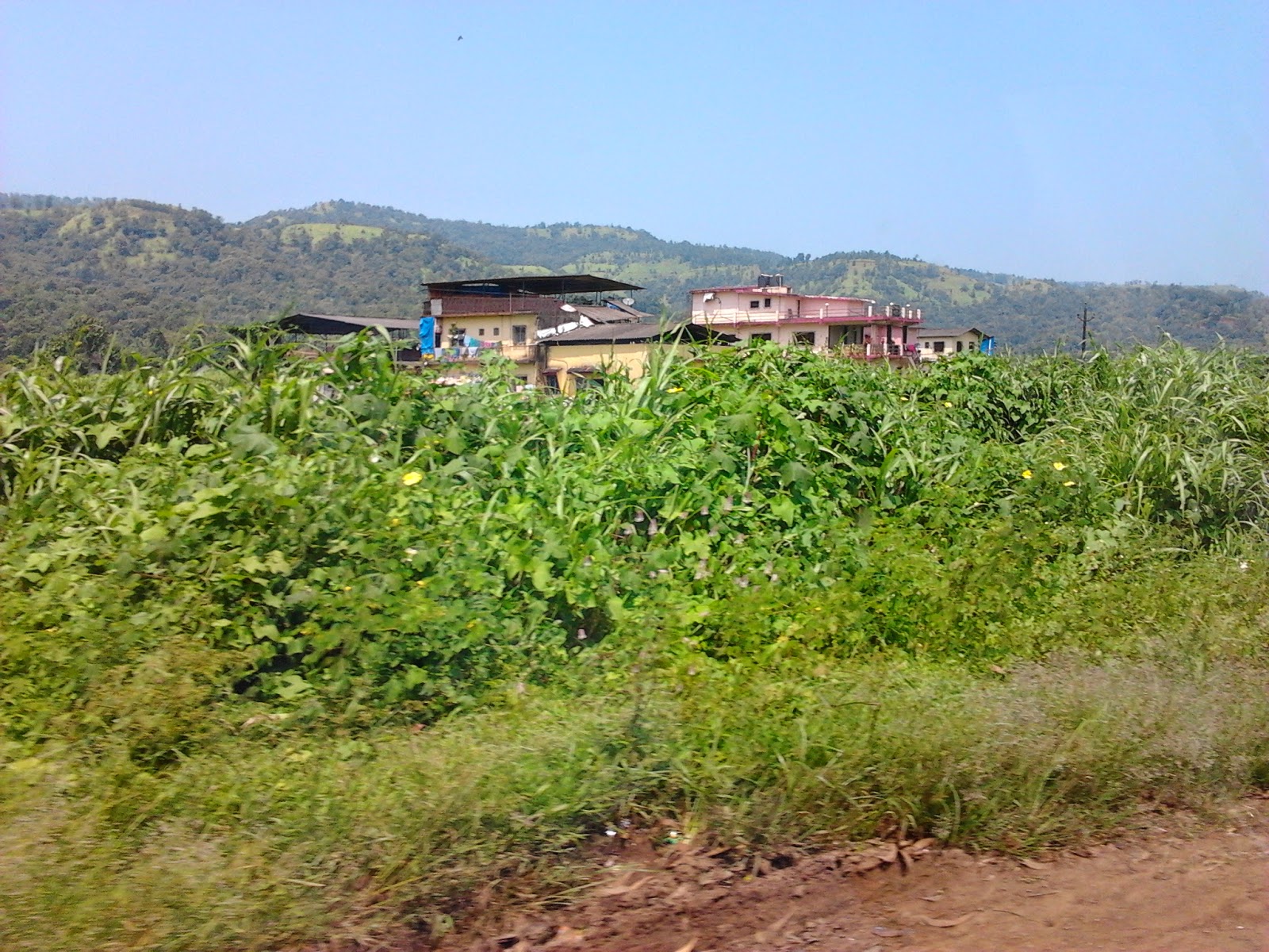 The Village Doctor - a M.B.B.S. medical professional's experience in ...