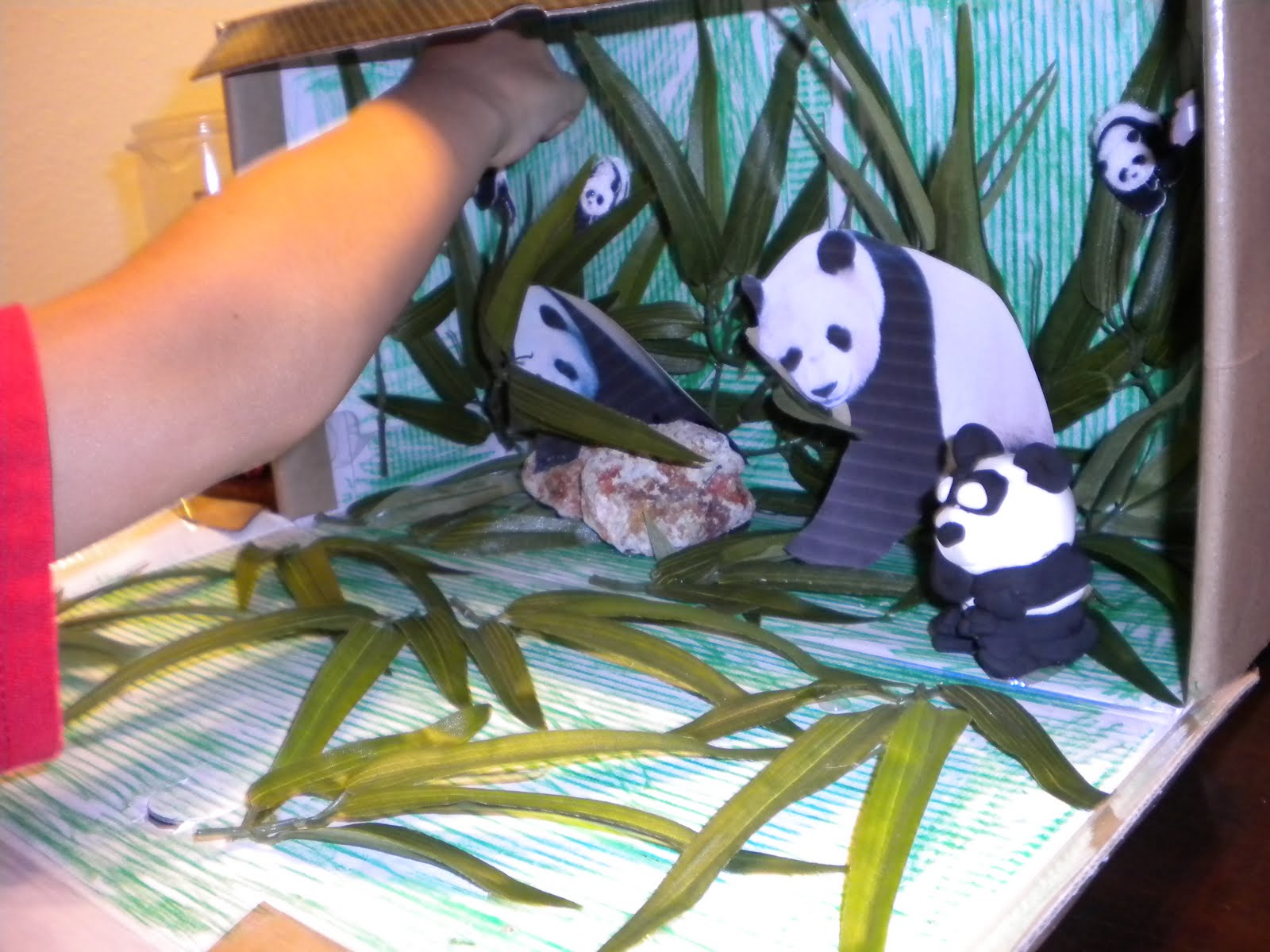 moneystretchingfamily: Tyler's Panda Project