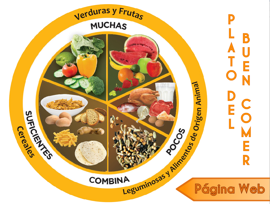 1 period evidences : TASK 2 "THE EATWELL CHART"