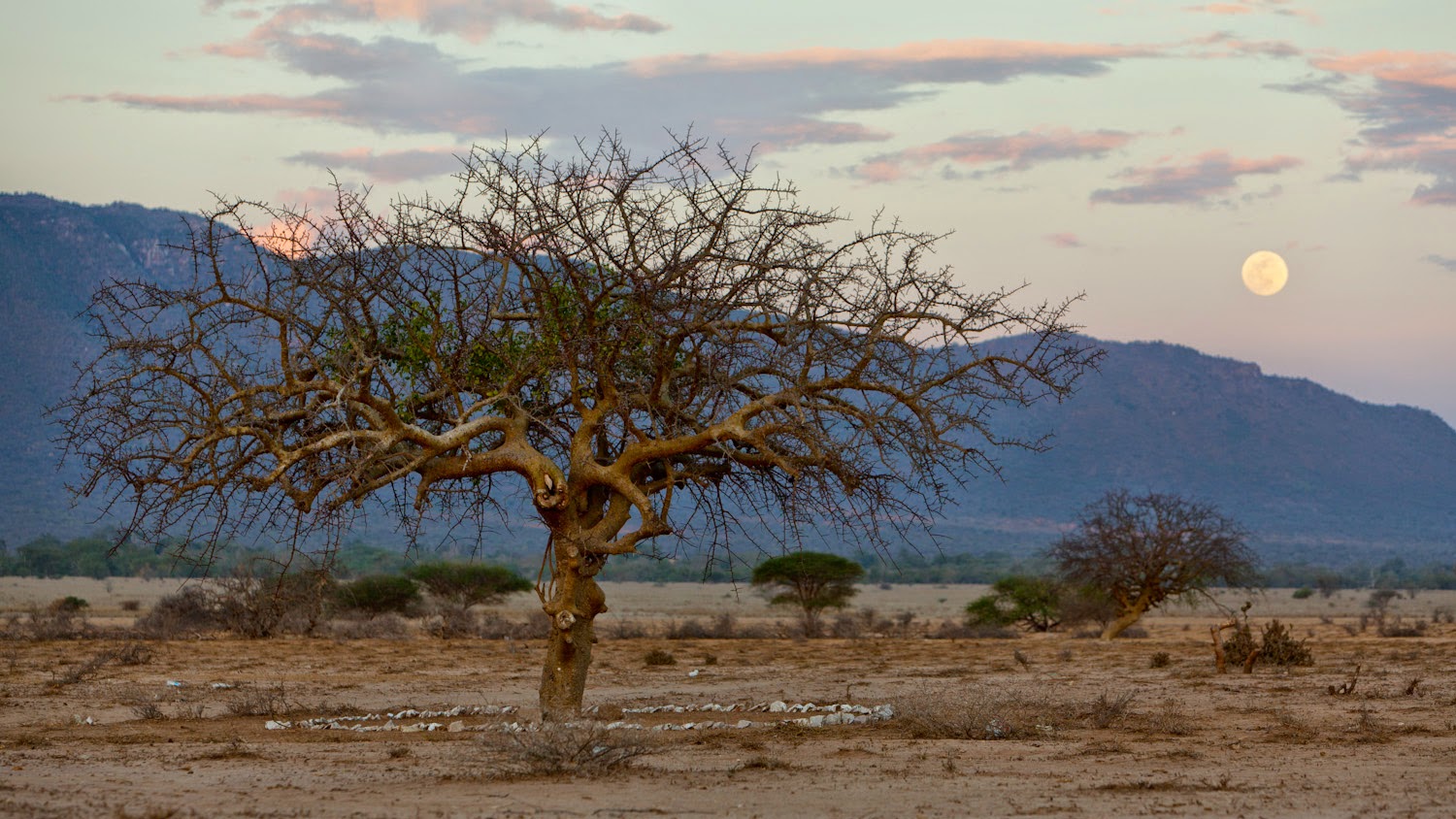 Natalee Raymond Photography Blog: Images of Maasai Land. Simanjiro ...