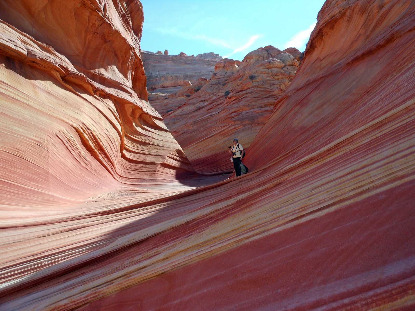 Fine Art by Patricia Rose: Trip to "The Wave" & Zion in Utah