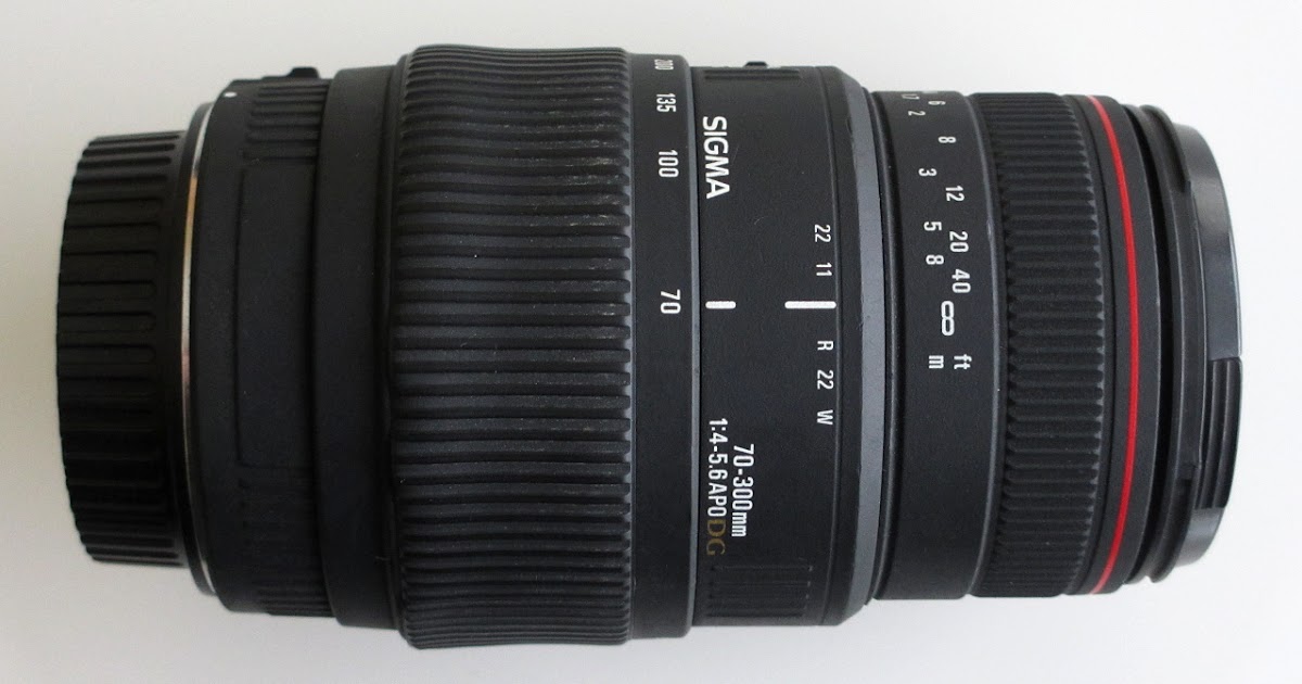 Sharp Wings: Teleobjektiv Sigma 70-300mm f/4-5.6 APO DG Macro - recenze