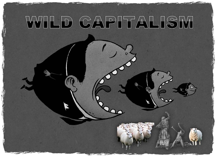 Harun Yahya - Pakistan: In The Holy Qur'an Allah Draws Attention To ...