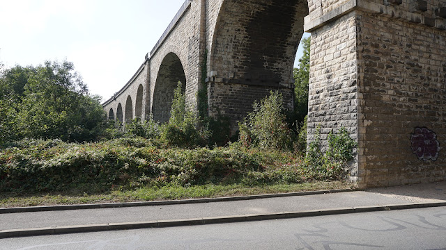 Bridge of the Week: Bridges of Lyon, France: SNCF Viaducts West of Lyon