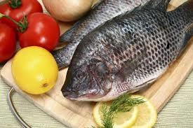 tilapia health benefits - health benefits