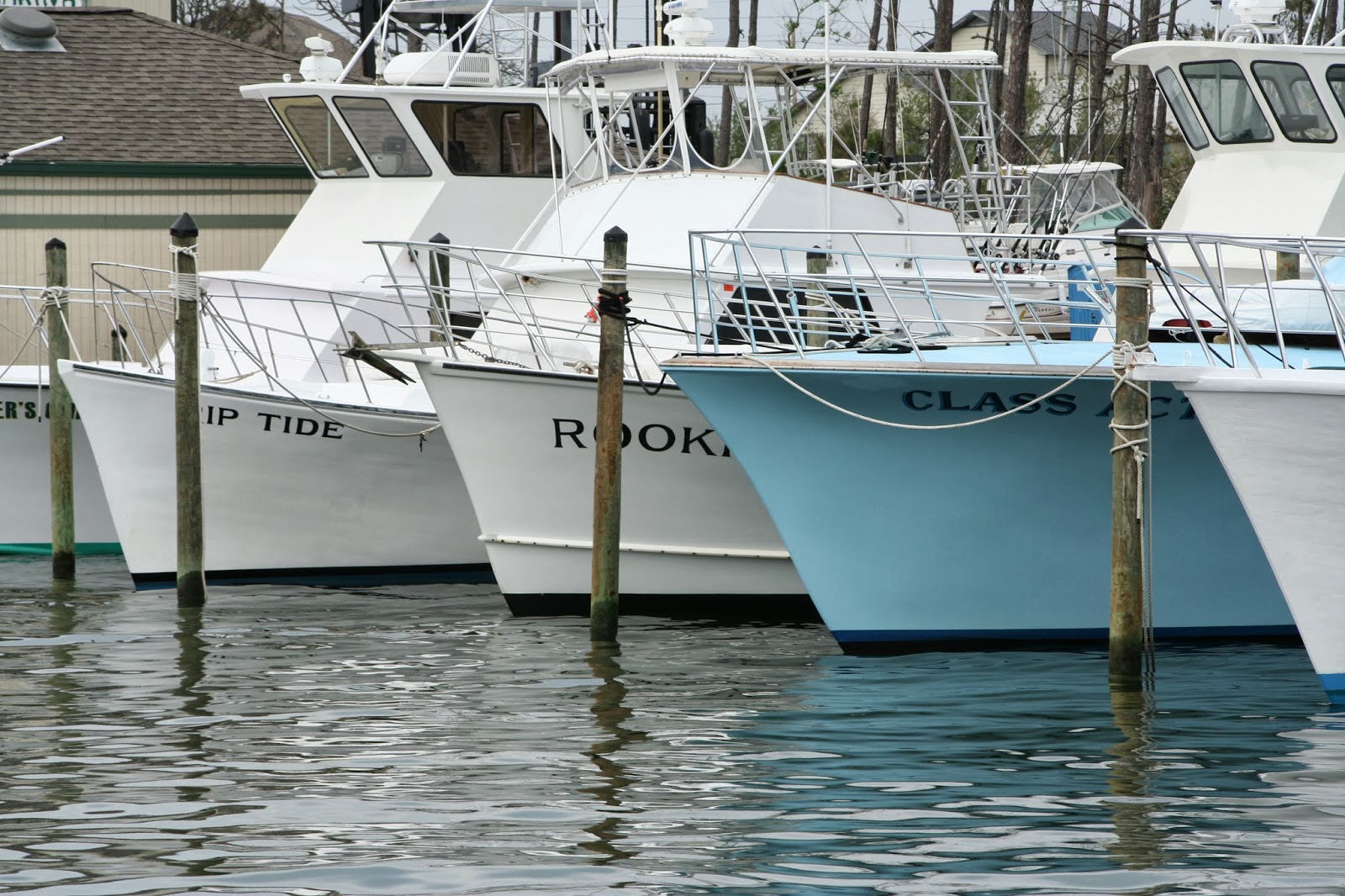 Meyer Muse: Bonus 14-day Red Snapper Season Begins Oct. 1