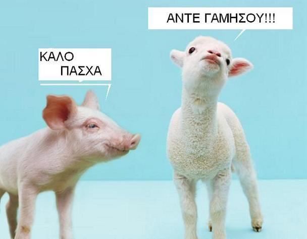 κορυδαλλός: ΚΑΛΟ ΠΑΣΧΑ. ΑΝΤΕ ΓΑΜΗΣΟΥ!!!