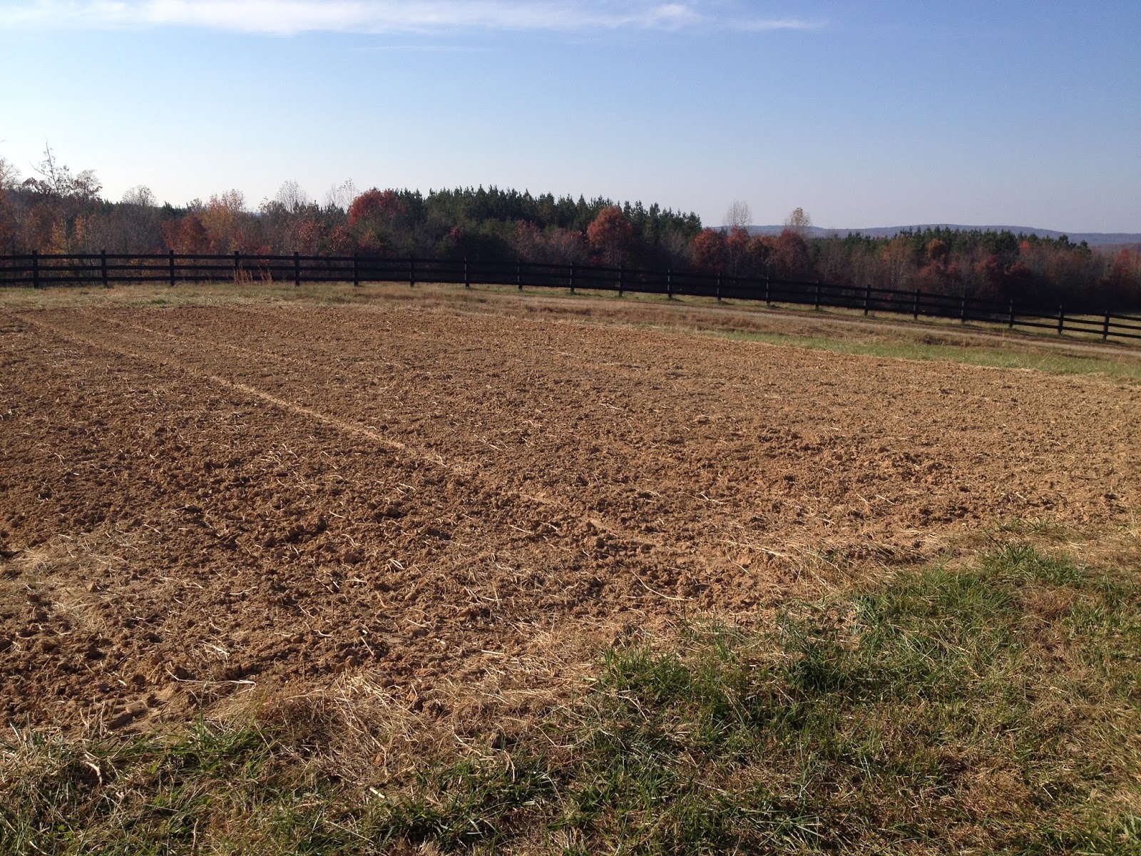 How do You Fealh? Lying Fallow for a Season.