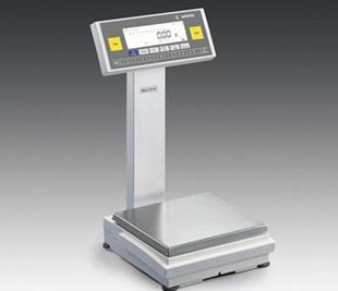 Scale Company: July 2012