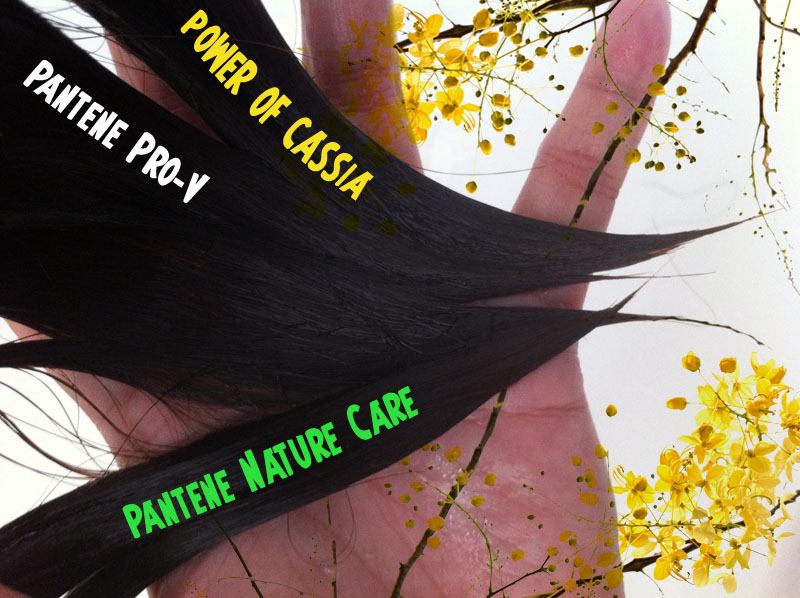 Plus Size Kitten Pantene Nature Care Shampoo And Conditioner Review
