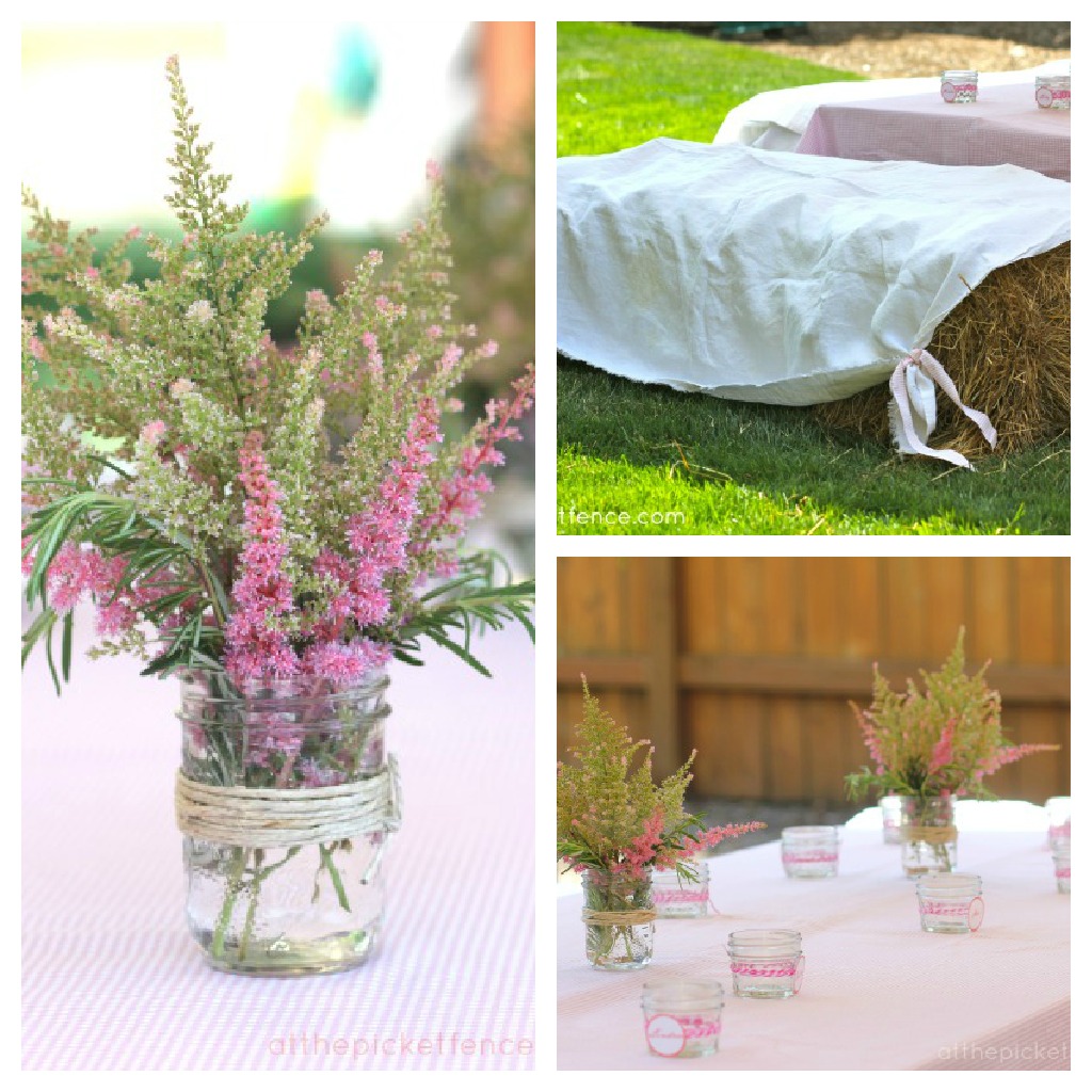 A Pioneer Birthday Party