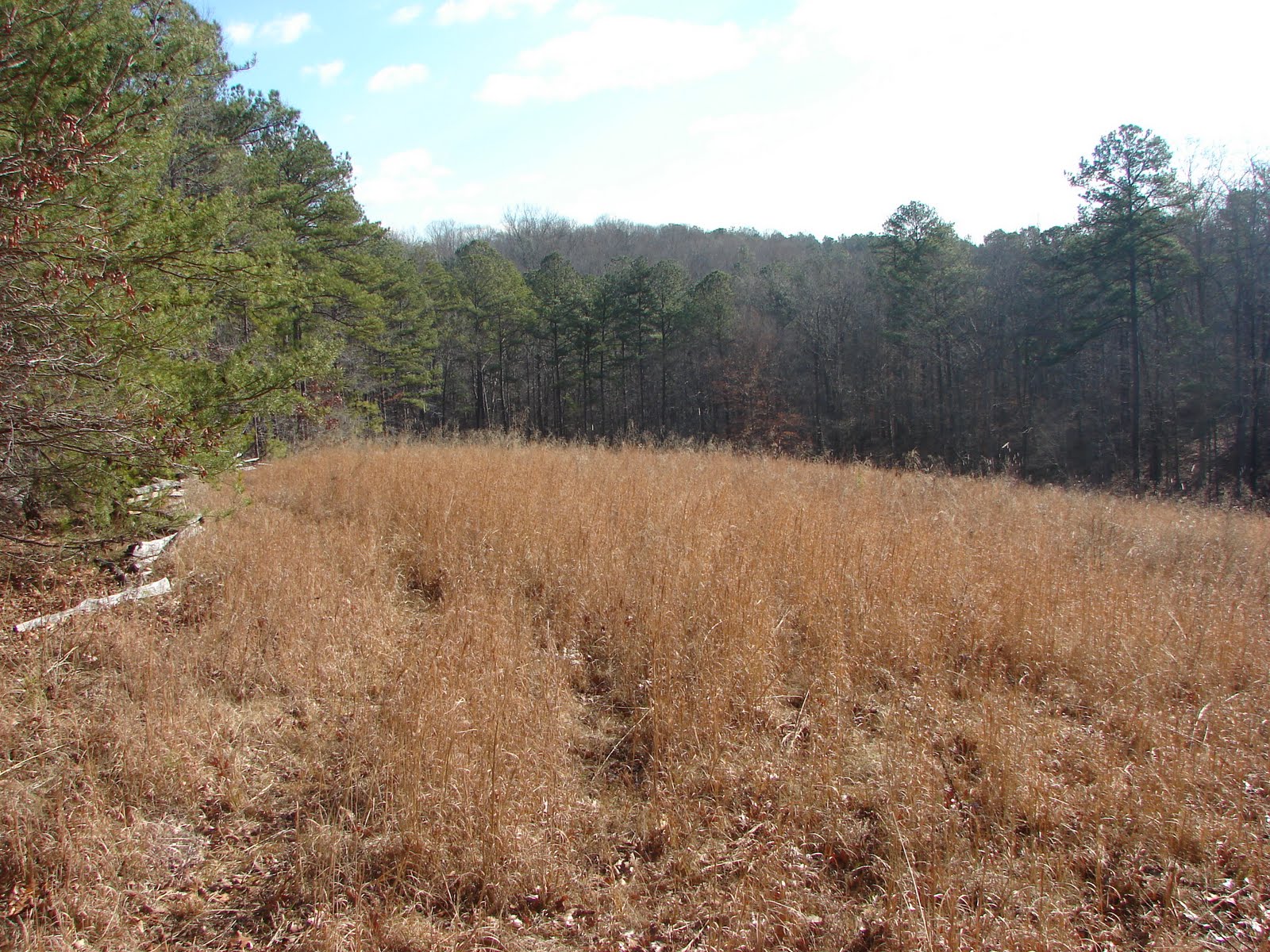 Our Country's Fiery Ordeal: Pickett's Mill State Battlefield