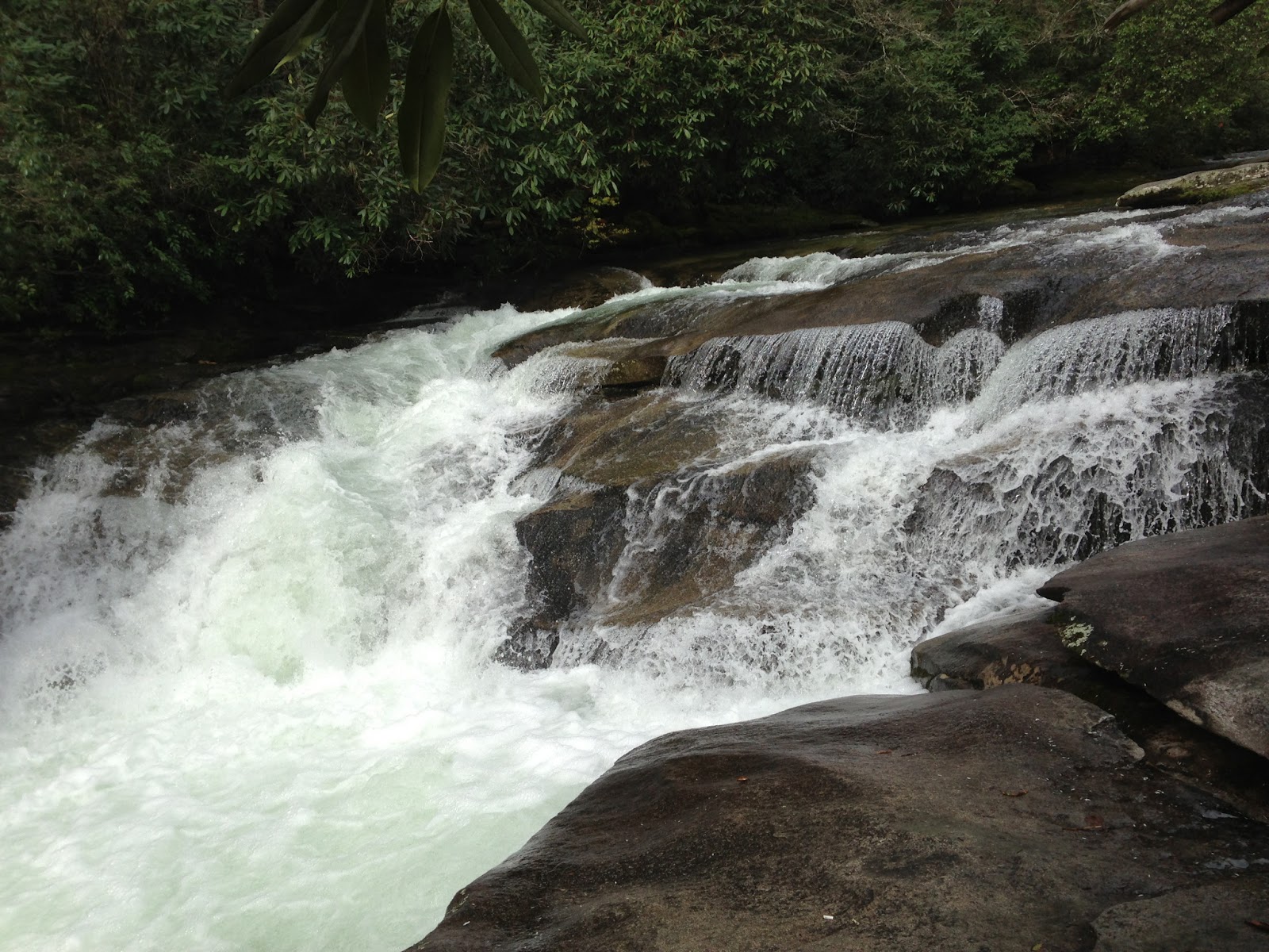 NC BACKCOUNTRY: Fly-fishing on Davidson River