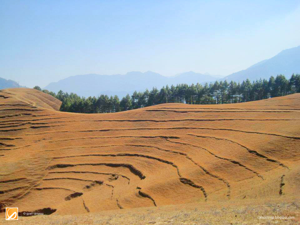 Kulekhani, Bhede Farm, Makawanpur, Nepal