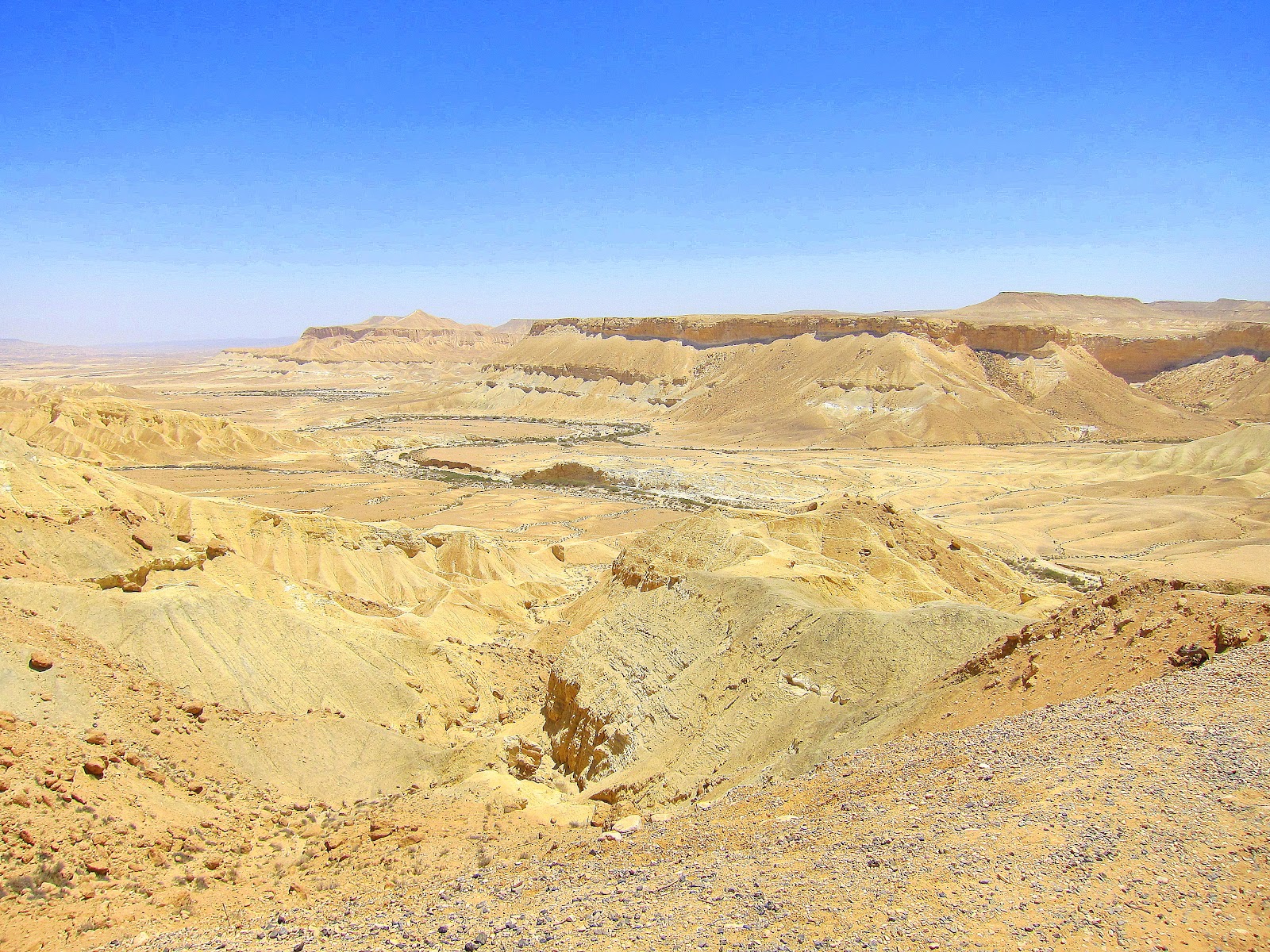 Happy to be a McKee: Wilderness Of Sin