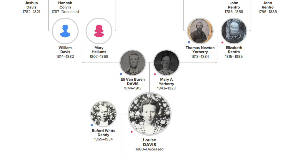 Porch Swings, Fireflies, and Jelly Jars: Louise (Davis) Dendy Family Tree