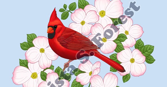 Crista Forest's Animals & Art: North Carolina State Bird and Flower ...