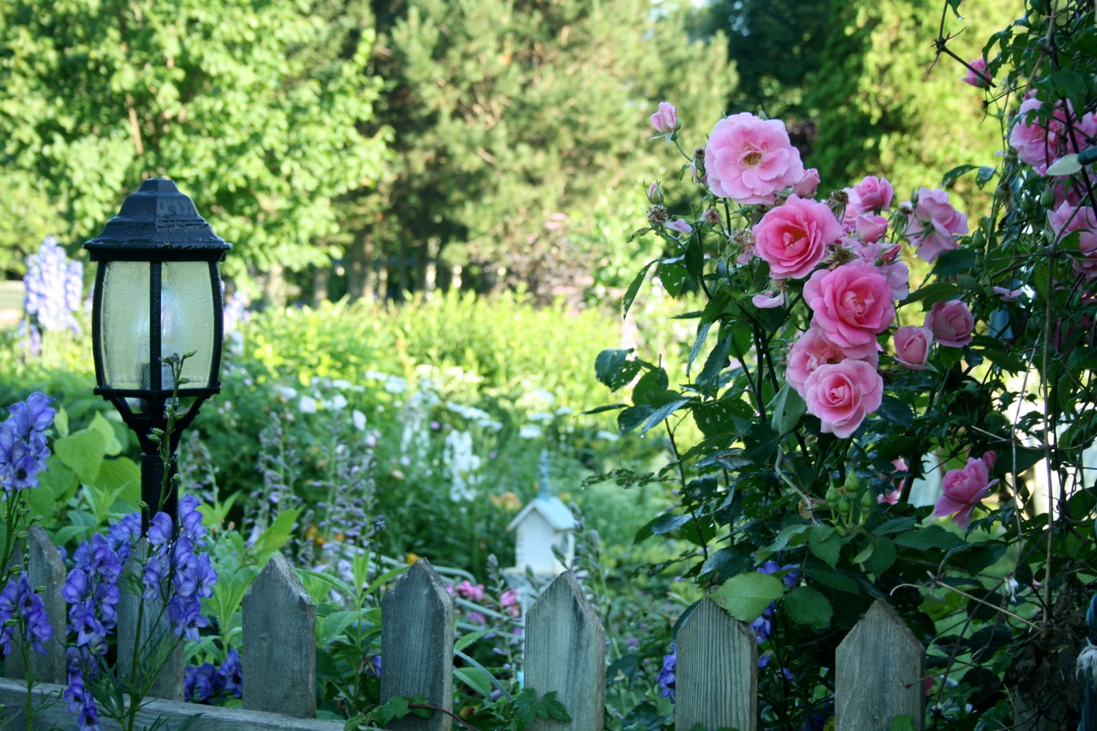 Aiken House & Gardens: Let's Tour the Garden!