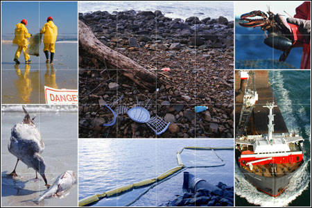 Environmental pollution & protection ~ Environment Places