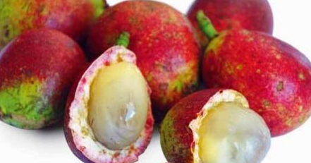 Manfaat dan Khasiat Buah Matoa - BANGUN KELIR