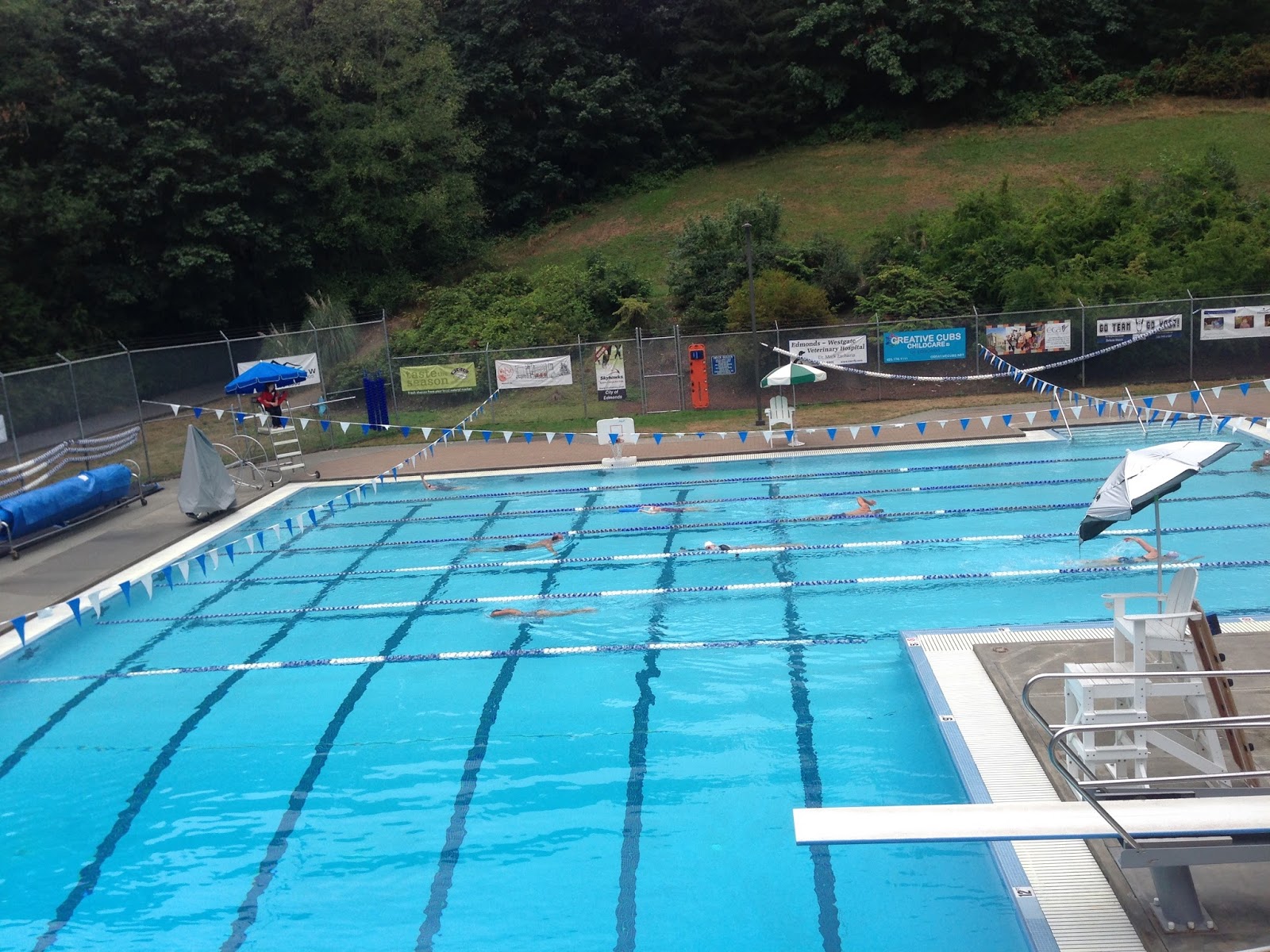 Year of Alison: December 2015