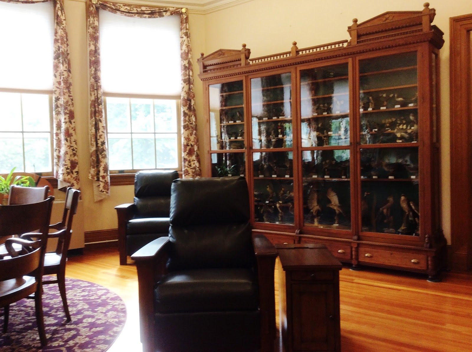 Life From The Roots: Lawrence Library, Pepperell, Massachusetts ...