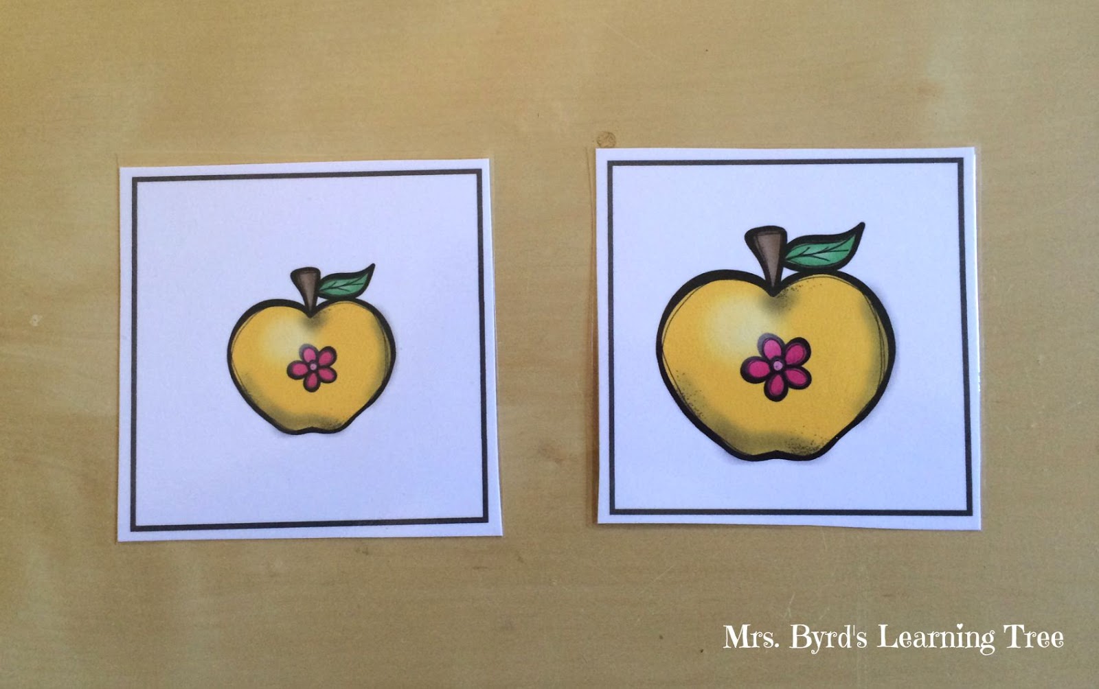 Mrs. Byrd's Learning Tree: Apple Attribute Cards
