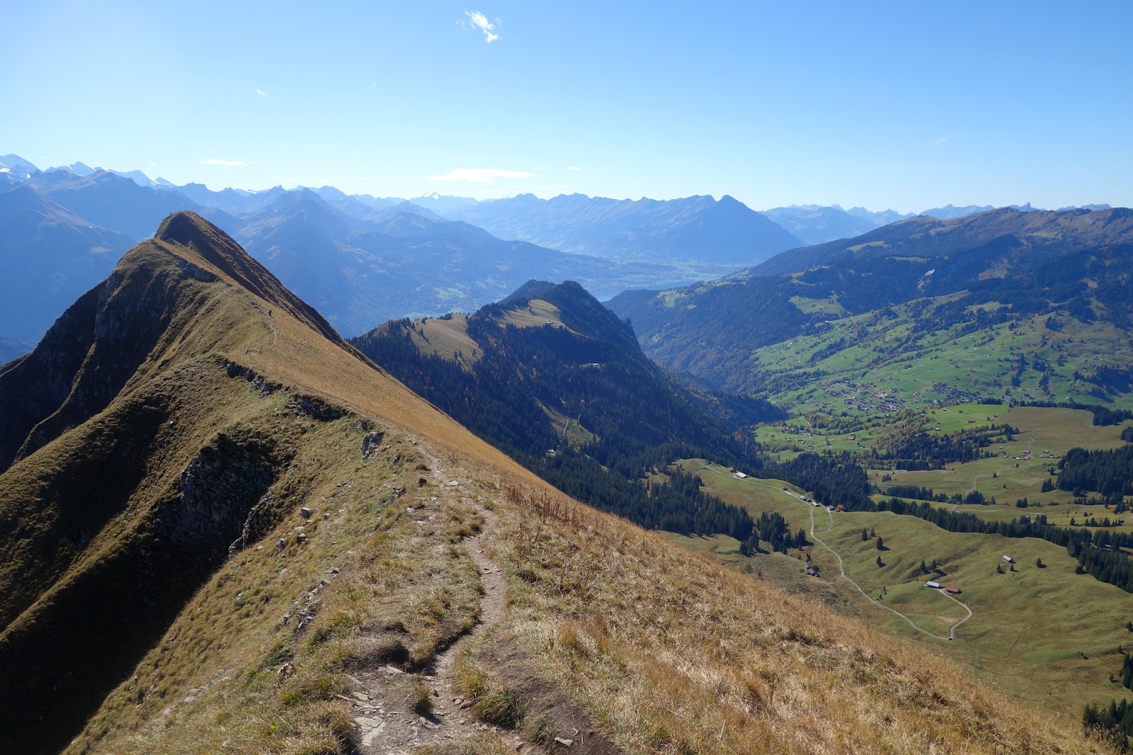 Z i m i s e i t e: Wanderung ob dem Brienzersee: Habkern - Lombachalp ...