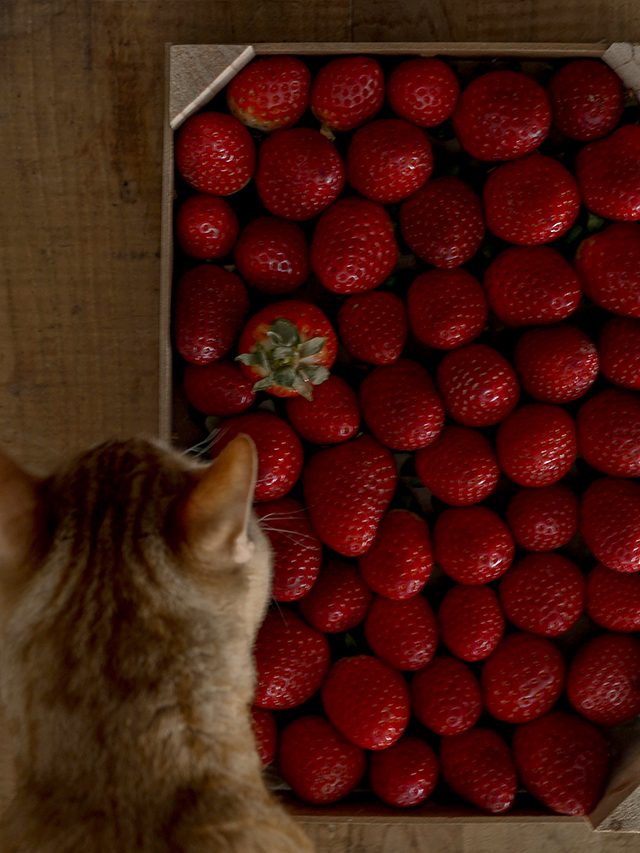 Contigo en la playa! : CHARLOTA DE FRESAS Y ALMENDRAS