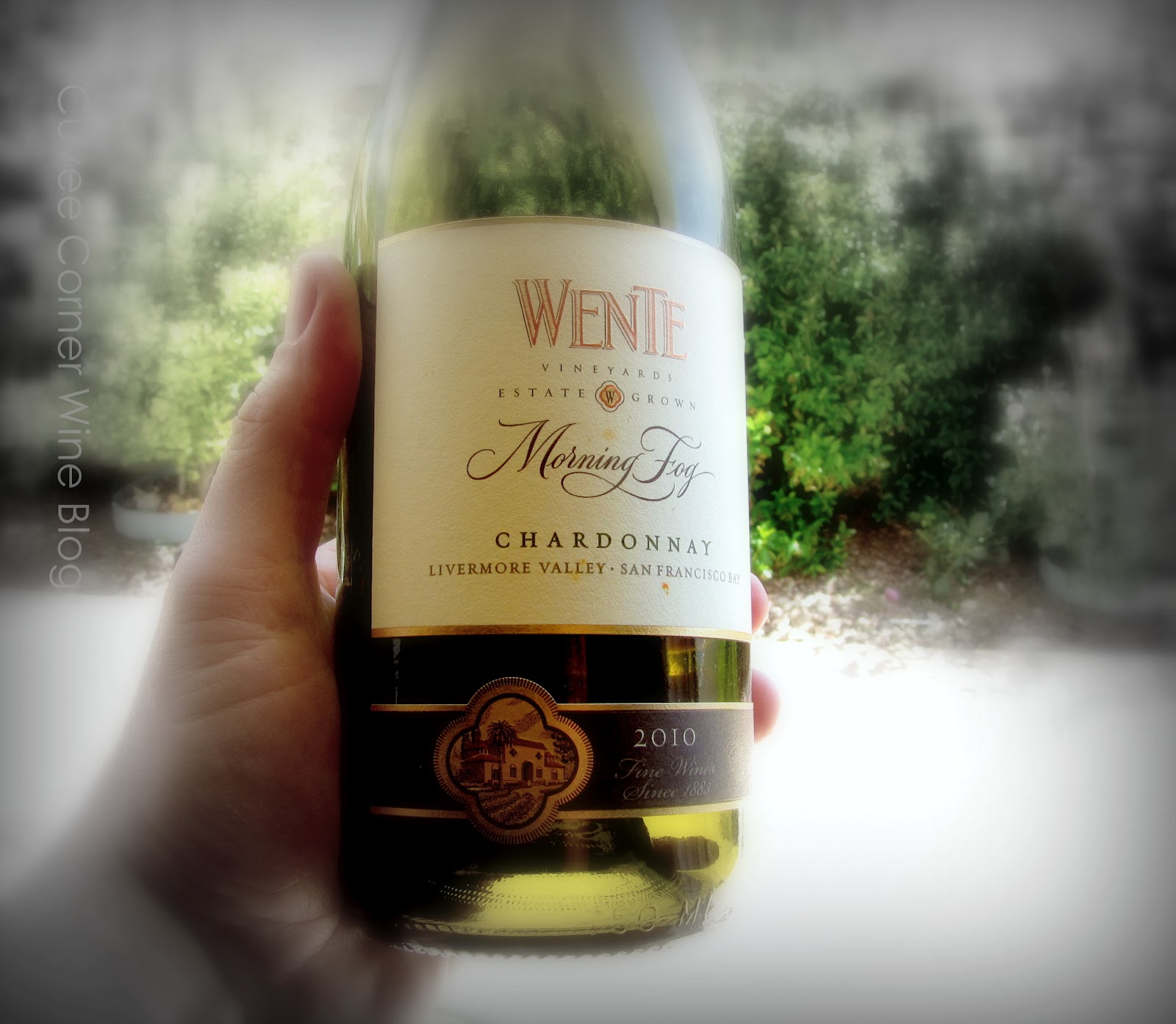 Wine And Food Pairing Of The Week Tuna Melt Wente Morning Fog wine-and-food-pairing-of-the-week-tuna-melt-wente-morning-fog